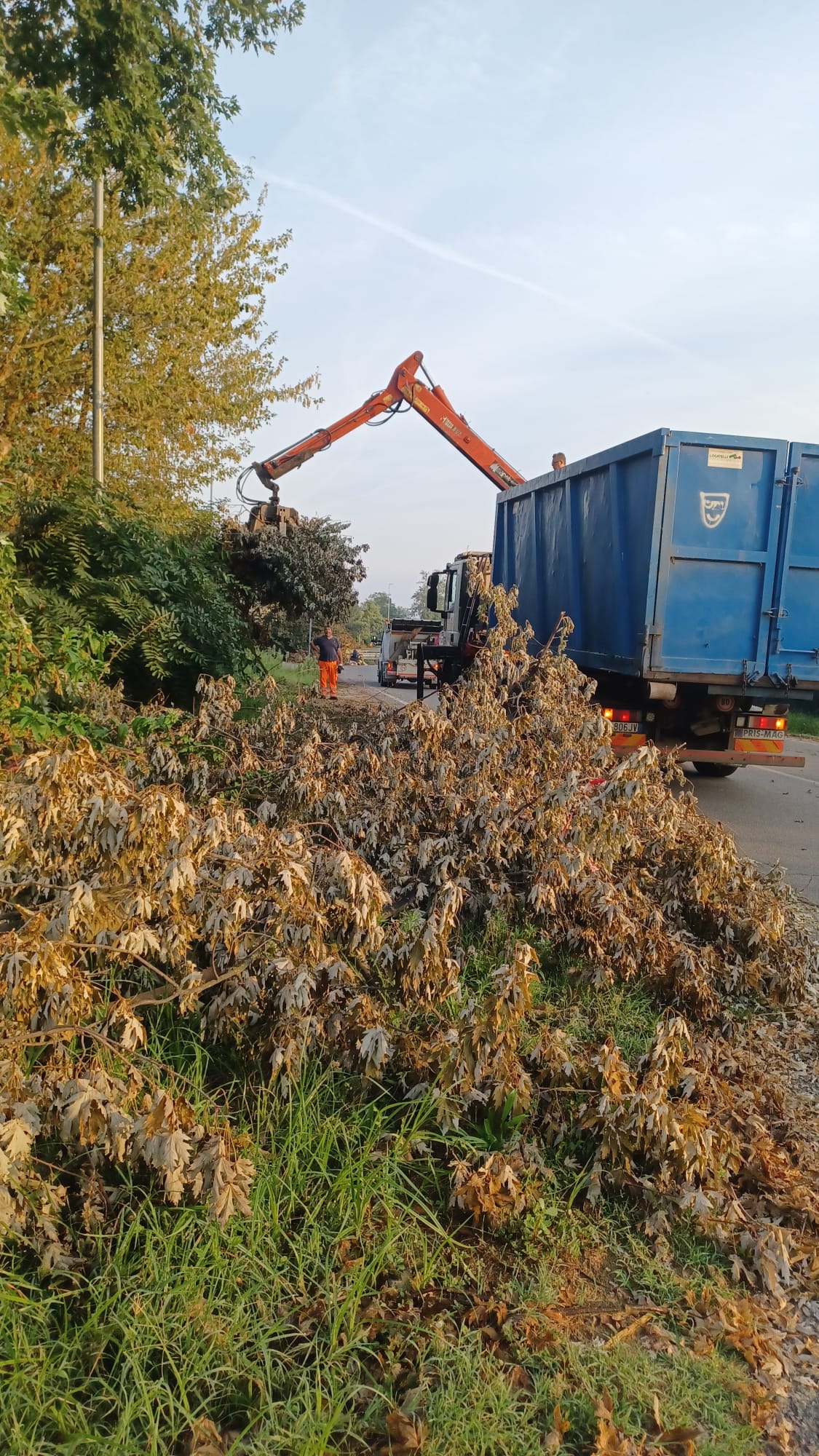 Proseguimento dei lavori di rimozione ramaglie dopo il maltempo – ASM ...